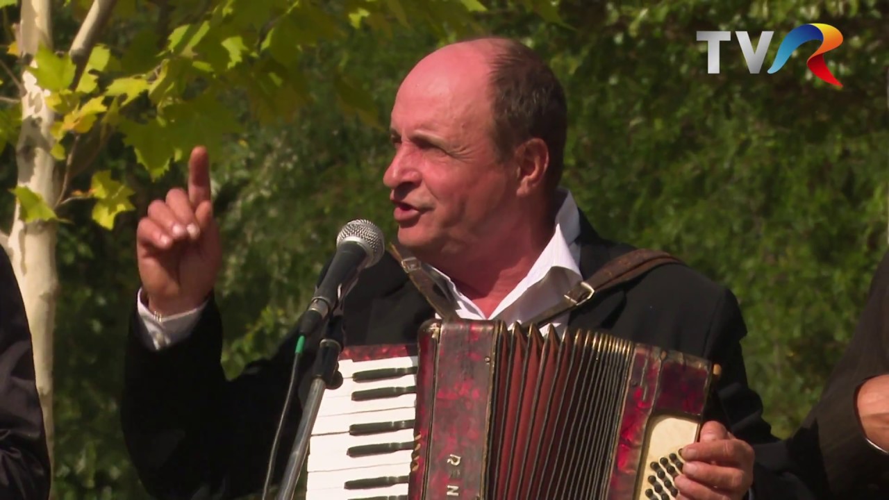 Taraful lui Dan Micu - La Cetate, la cotitură (@Politică şi ...