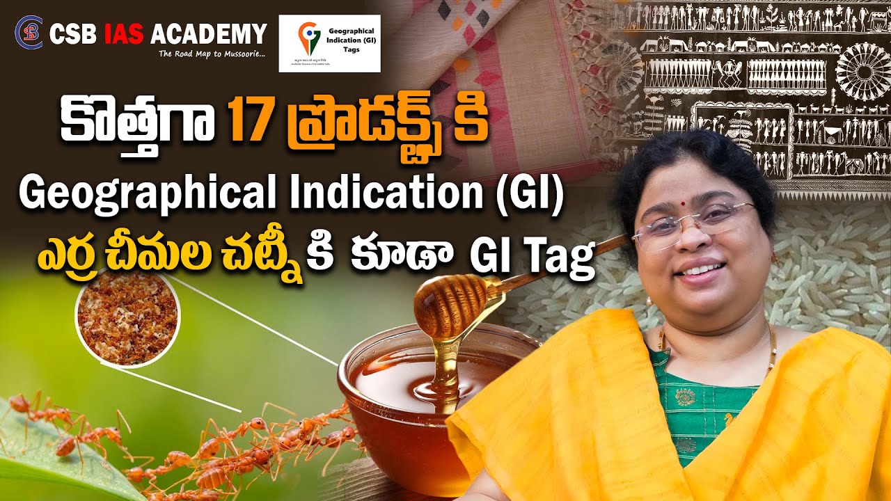 కొత్తగా 17 ప్రొడక్ట్స్ కి Geographical Indication (GI tag) #gitags # ...