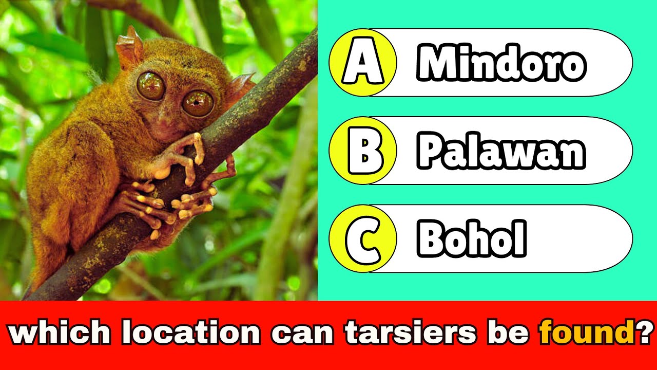 General Knowledge Quiz about The Philippines | 32 Questions with ...