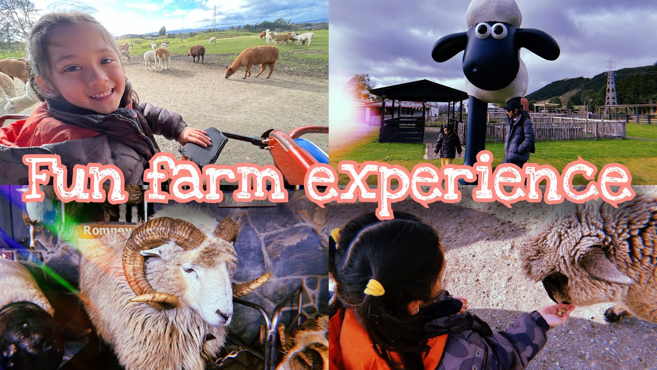 Fun FARM EXPERIENCE @ AGRODOME, Rotorua | Living in New Zealand - YouTube