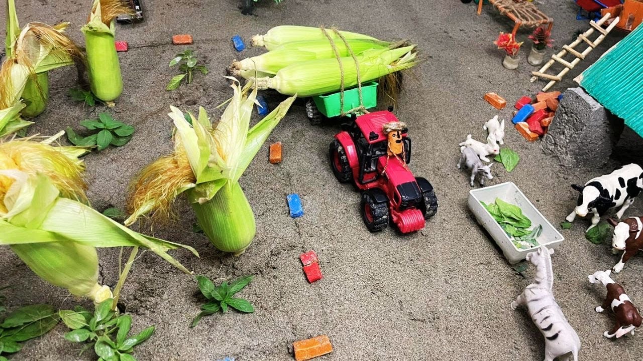 diy diorama harvesting popcorn plant |Plantation|Agriculture science ...