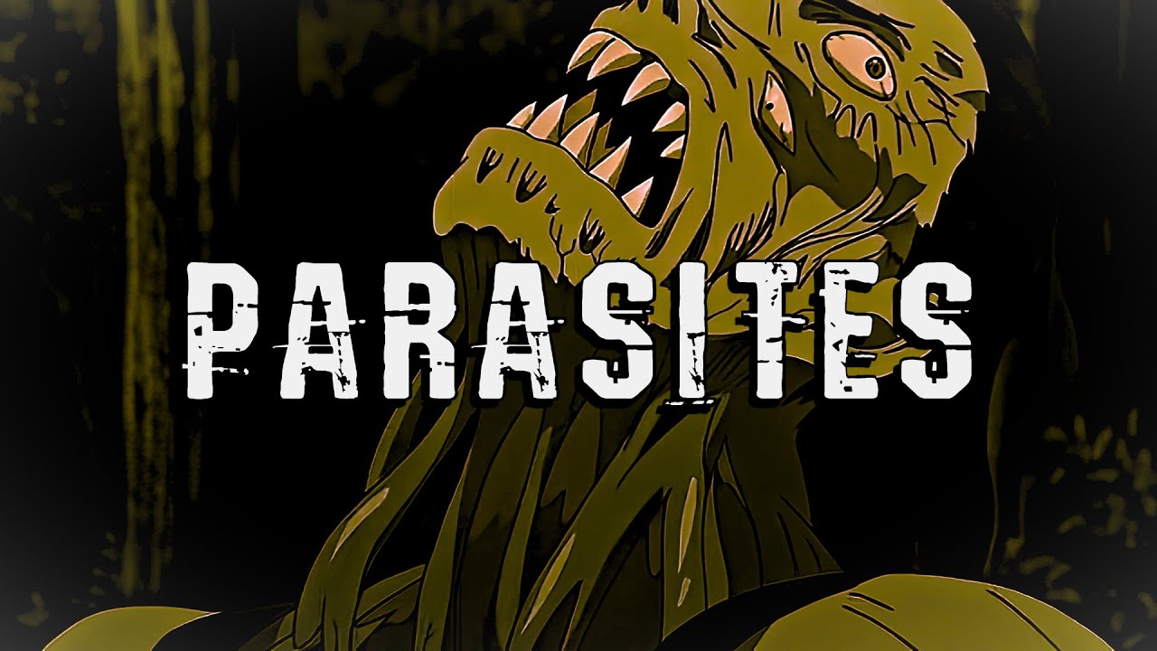 Gracefield | Parasites | Lyric Video「Parasyte AMV」 - YouTube