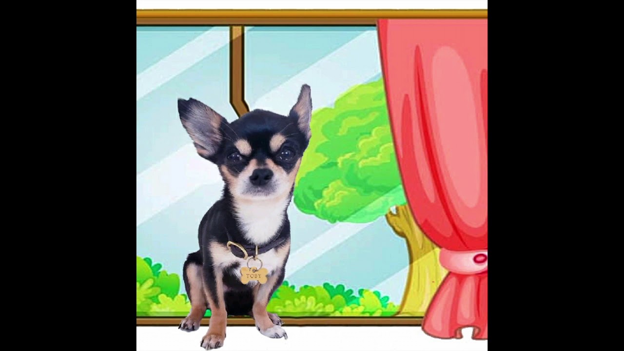 KIDS SING ALONG SONG |Toby Sings "How much is that Doggie in the Window ...