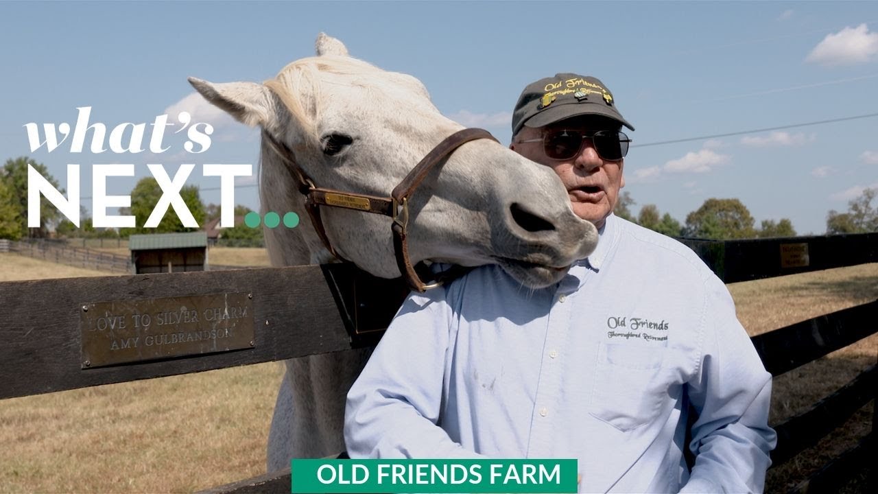 What's Next: Old Friends Farm - YouTube