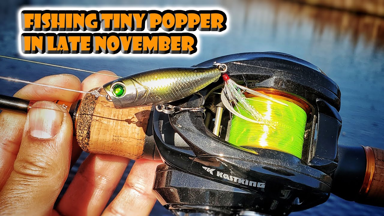 KastKing Zephyr BFS Fishing with Micro Popper (Tsurinoya DW55) - YouTube