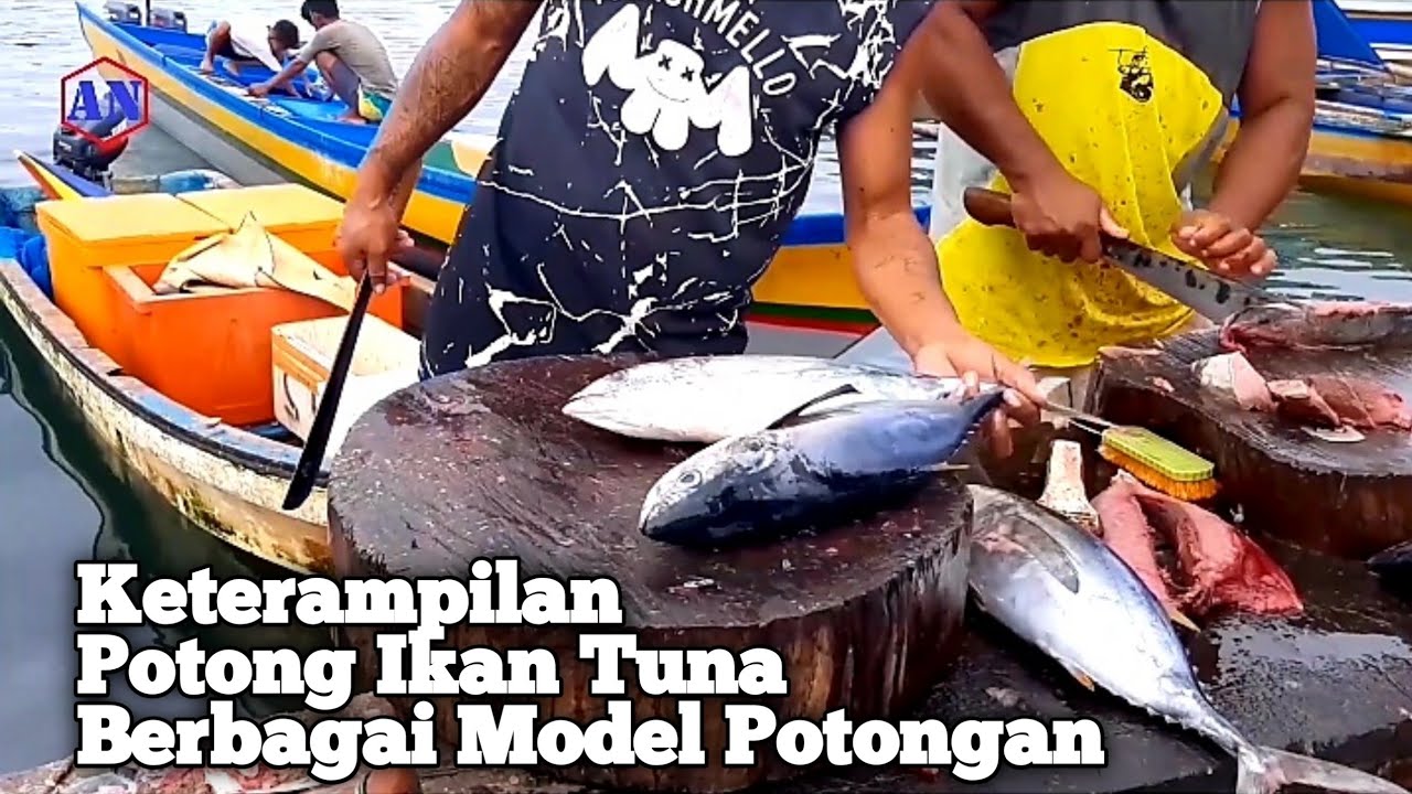 Keterampilan Potong Ikan Tuna Berbagai Model Potongan di Stand Bobo ...