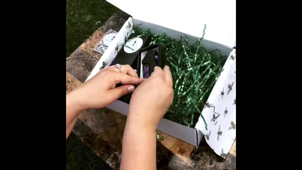 Winged Warrior Kit - YouTube