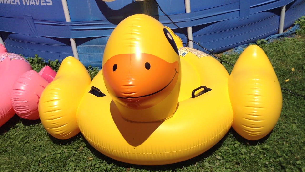INTEX DUCK AND Flamingo POOL FLOAT - YouTube