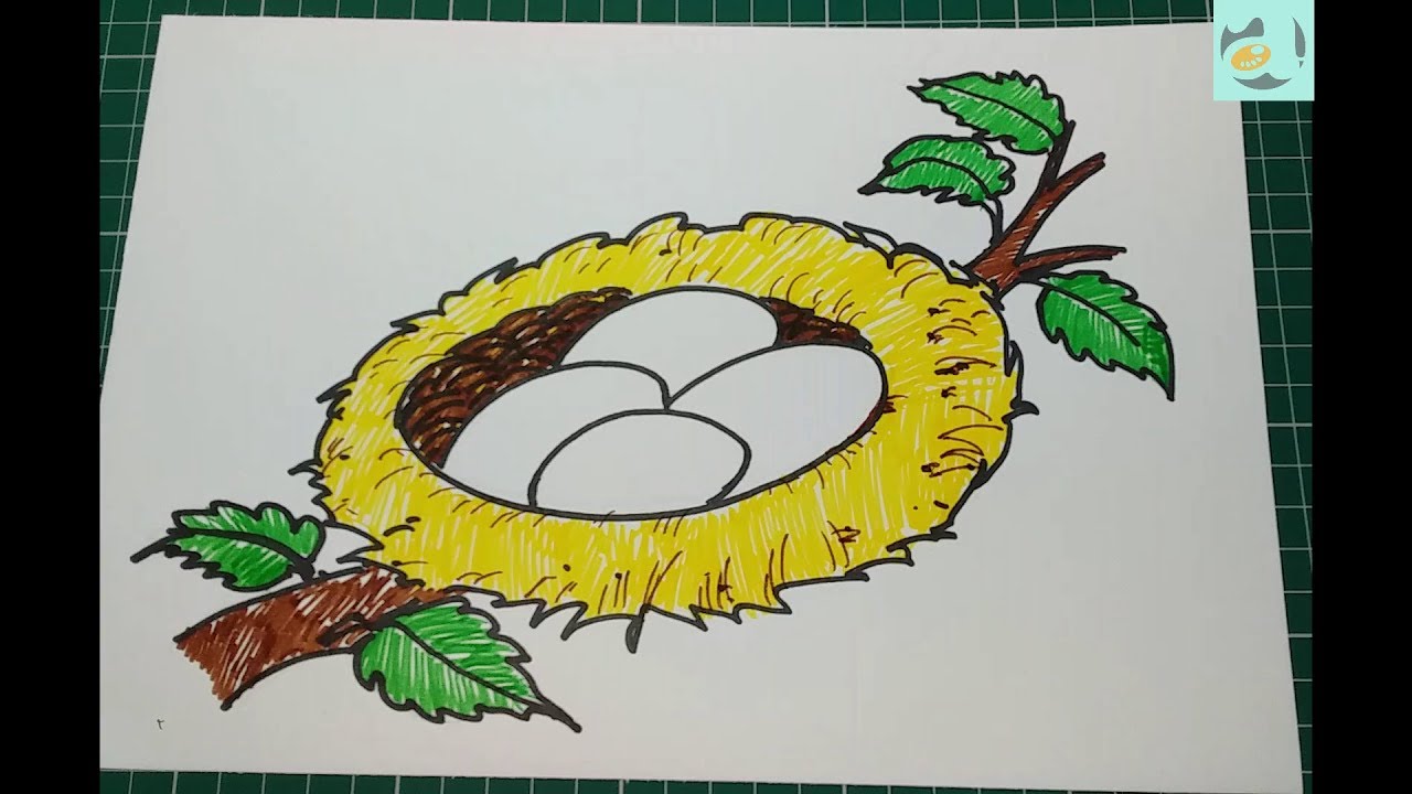 How to Draw Nest - YouTube