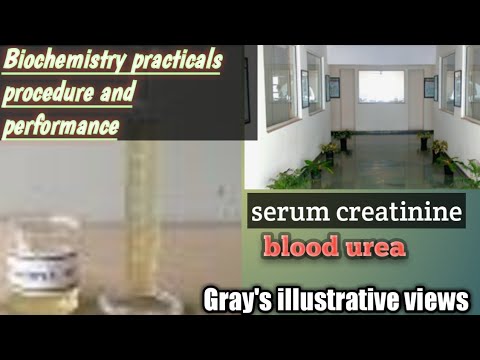 estimation of serum creatinine and blood urea | biochemistry practicals ...