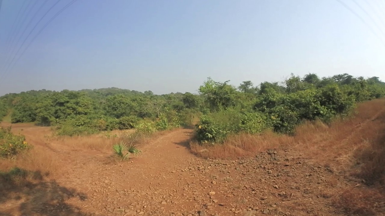 SHILONDA TRAIL in 360 - YouTube