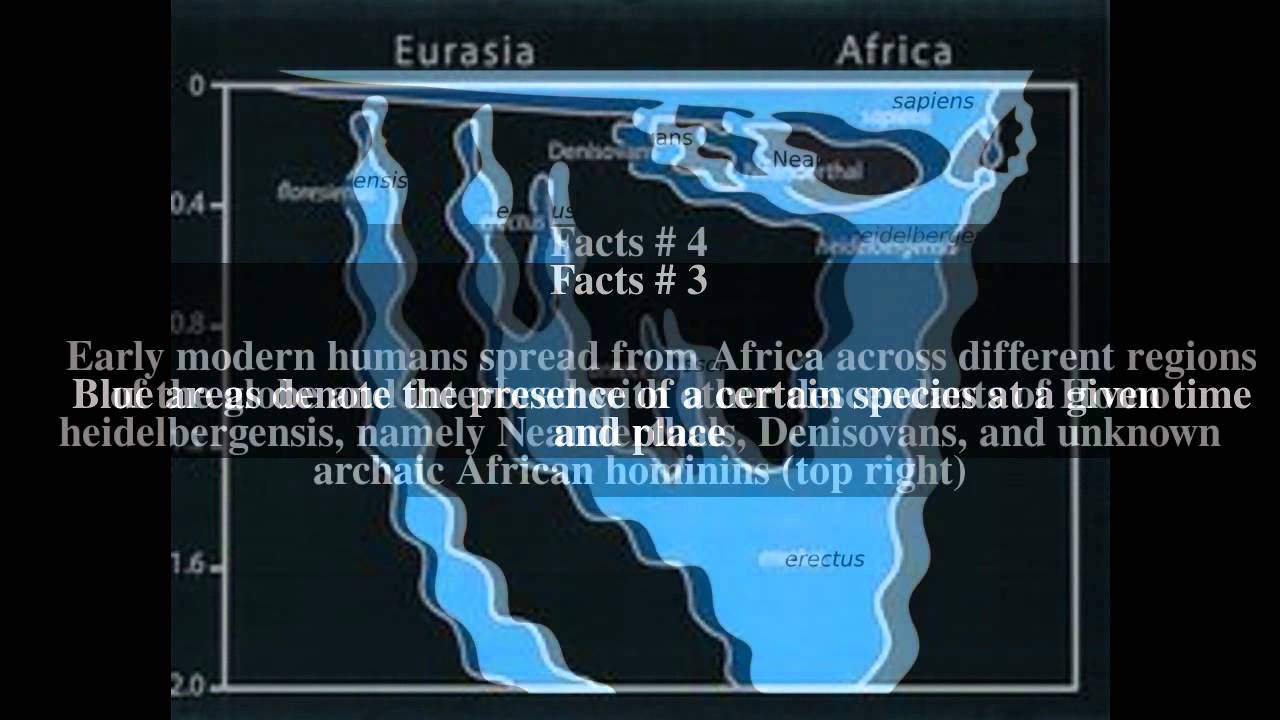 Archaic human admixture with modern humans Top # 7 Facts - YouTube