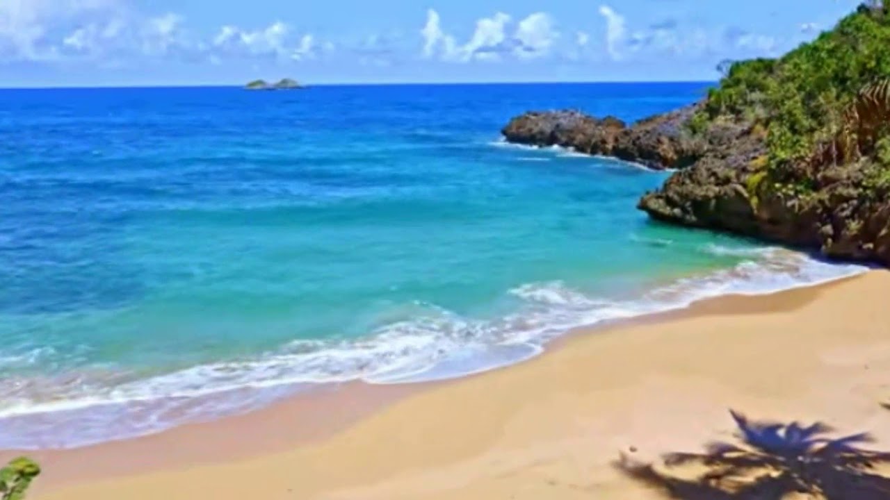 Everything I Do - Bryan Adam - in Tropical Beach Views - YouTube Music