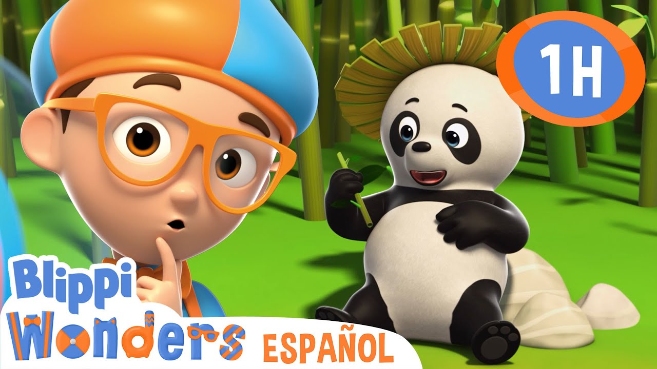 ¡Guau! ¡Un panda! | Blippi Wonders | Caricaturas para niños | Videos ...