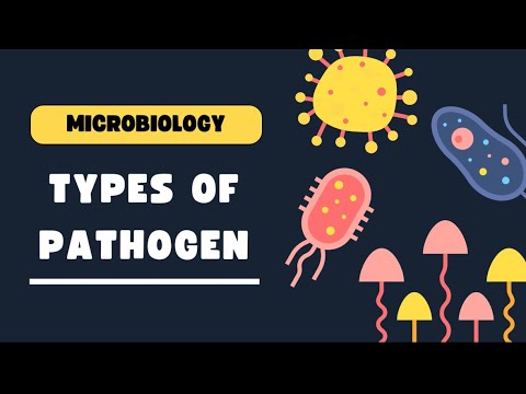 WHAT ARE PATHOGENS? - YouTube