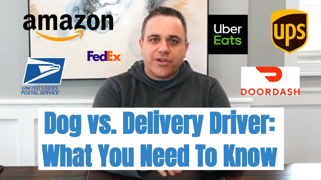 Dog Vs. Delivery Driver: What You Need To Know From A CT Dog Bite ...