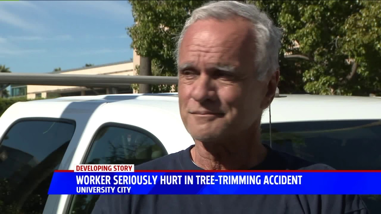 Man Seriously Hurt In Tree-Trimming Accident - YouTube