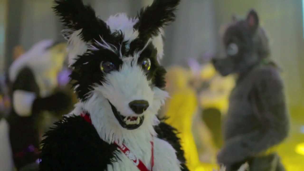 Eurofurence 17 - YouTube