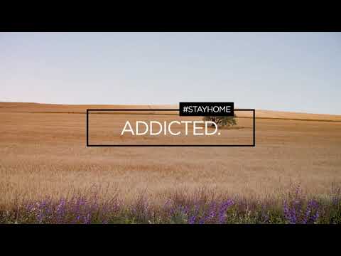 BIJOU & Dr. Fresch - Westside (feat. Willy Northpole)