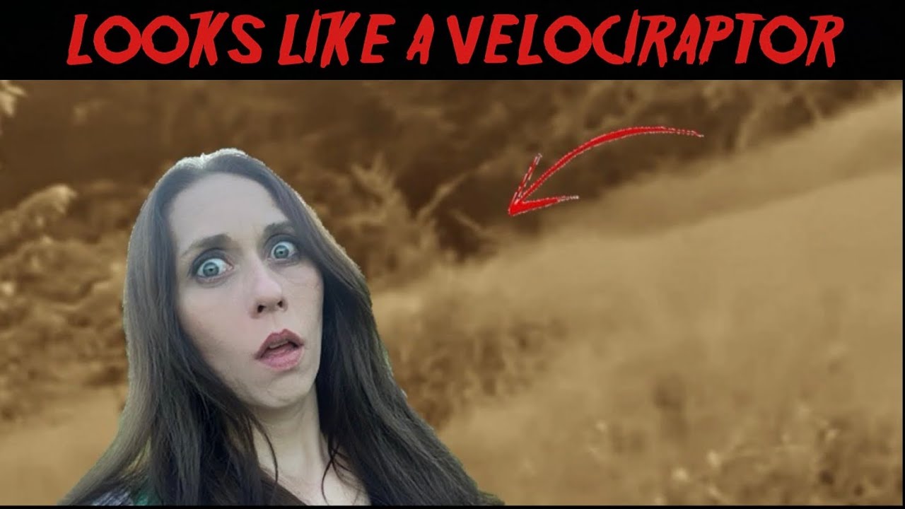 THIS IS SO CREEPY - YouTube