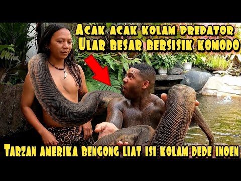 THEREAL TARZAN BONGKAR KOLAM PREDATOR MILIK DEDE INOEN #part1