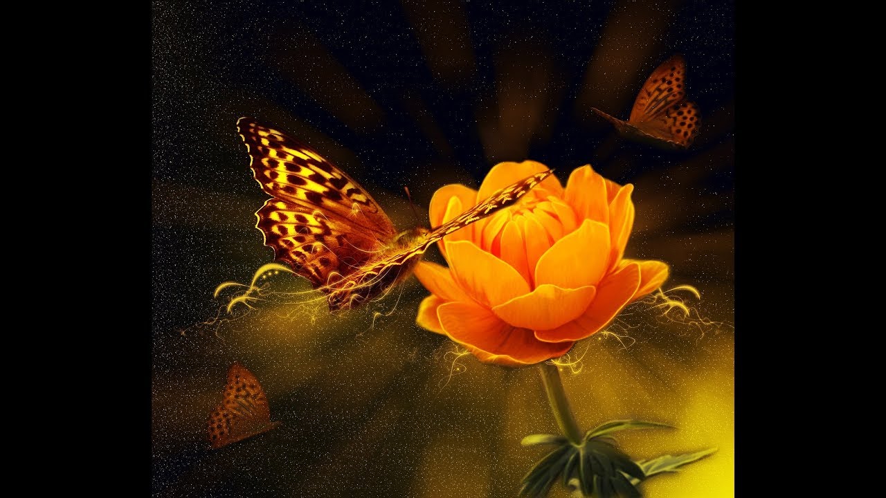 Color Meditation-Orange - YouTube