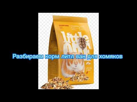 Разбираем корм литл ван для хомяков🗿 - YouTube