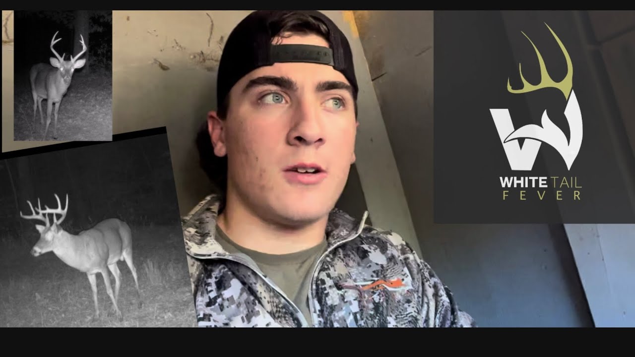 The Rut is On - (Bucks Chasing!) - YouTube
