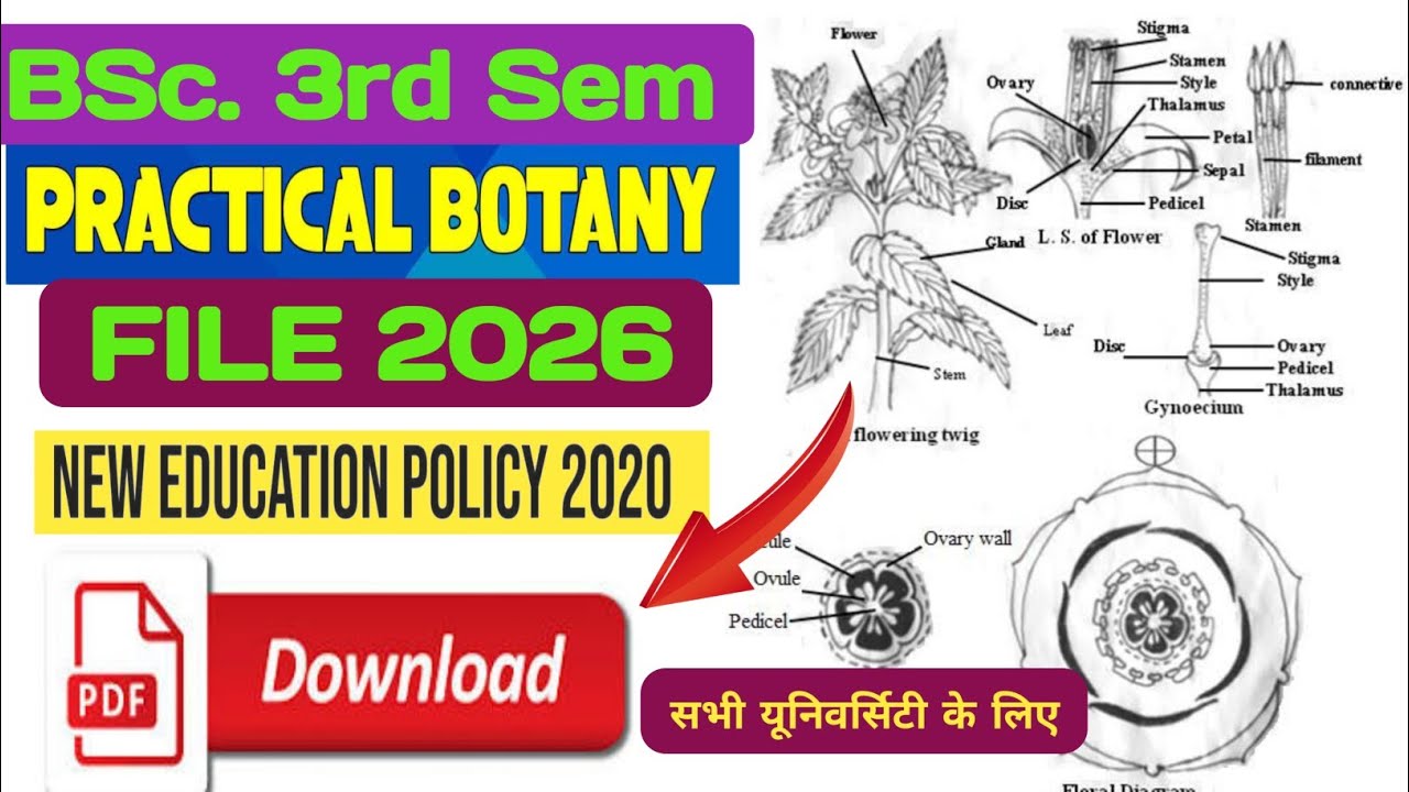 BSc 3rd Semester Botany Practical File 2026/Botany Practical File NEP ...
