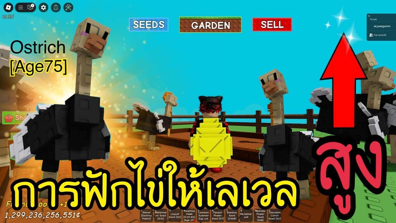 การฟักไข่ให้เลเวลสูง โดยใช้ Ostrich | Grow a Garden Roblox - YouTube