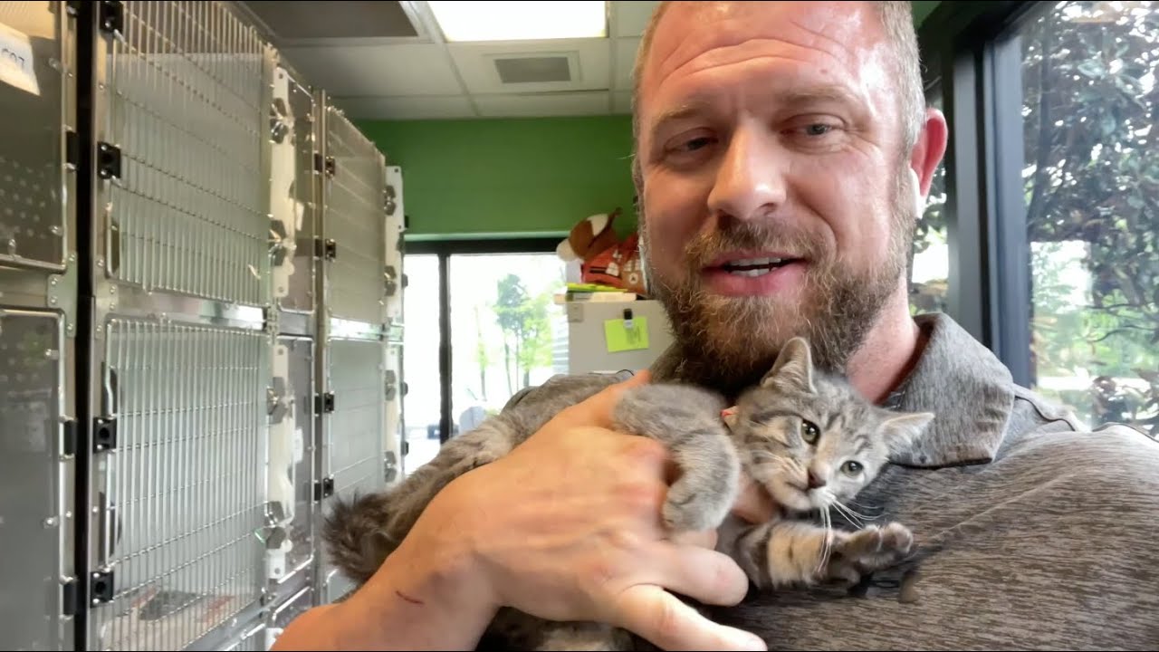 PAWS of Rutherford County Pets for Adoption April 29, 2021 - YouTube