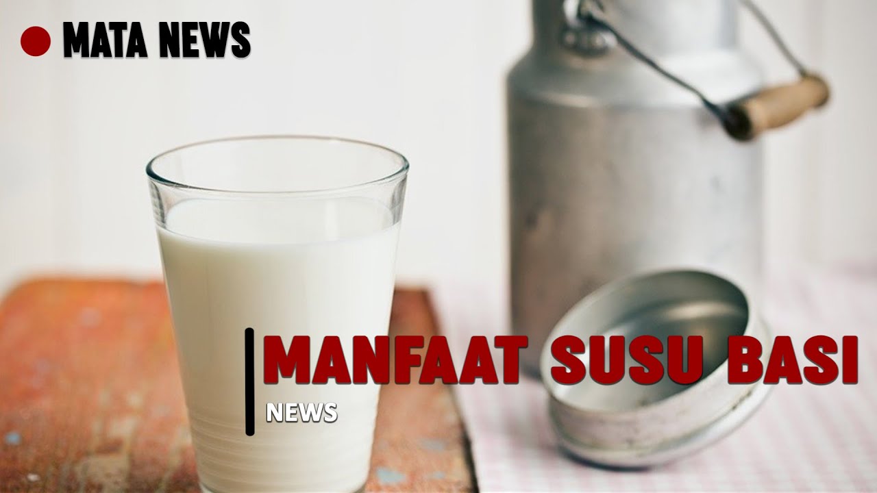 JANGAN BUANG SUSU BASI !!! - TIPS MEMANFAATKAN SUSU BASI - YouTube