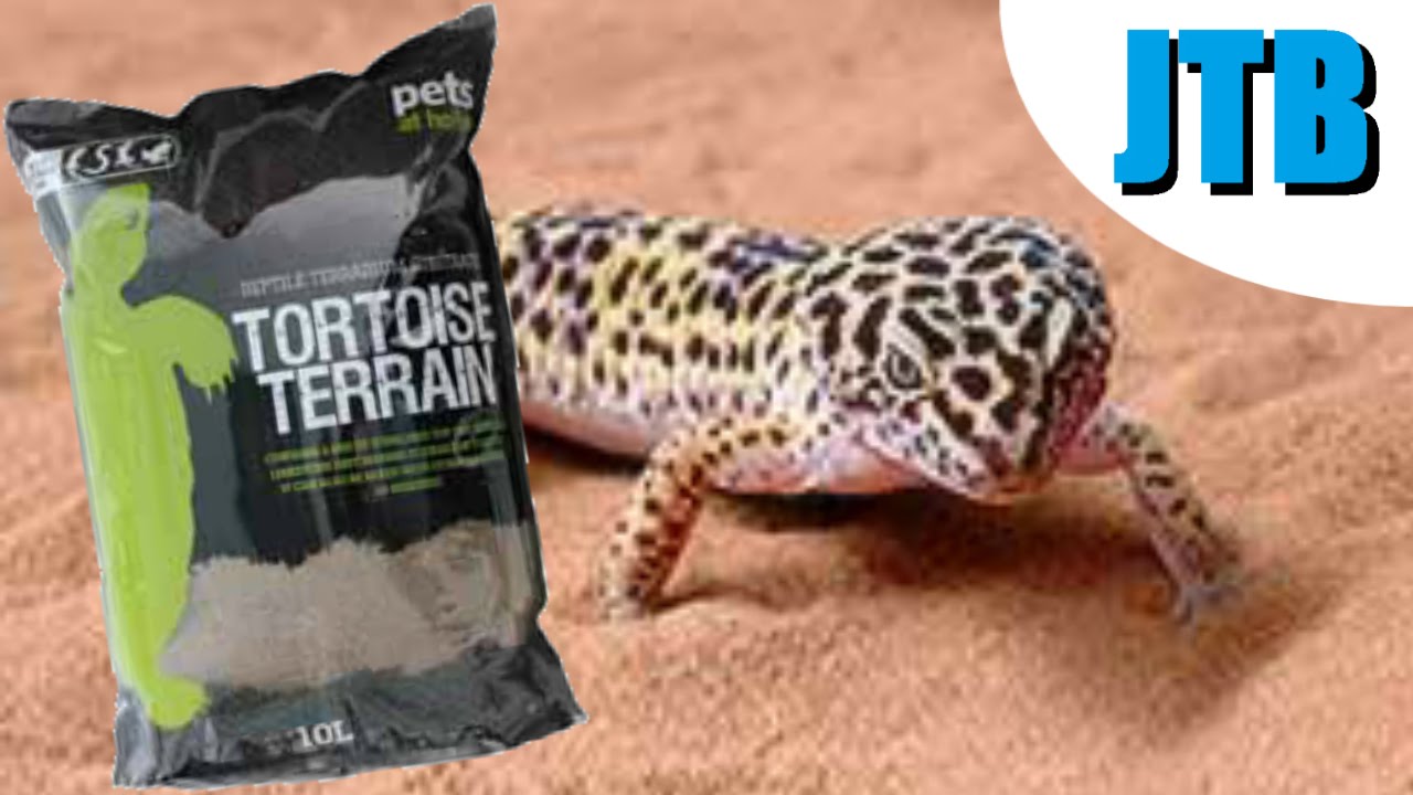 Naturalistic Leopard Gecko Setup - YouTube