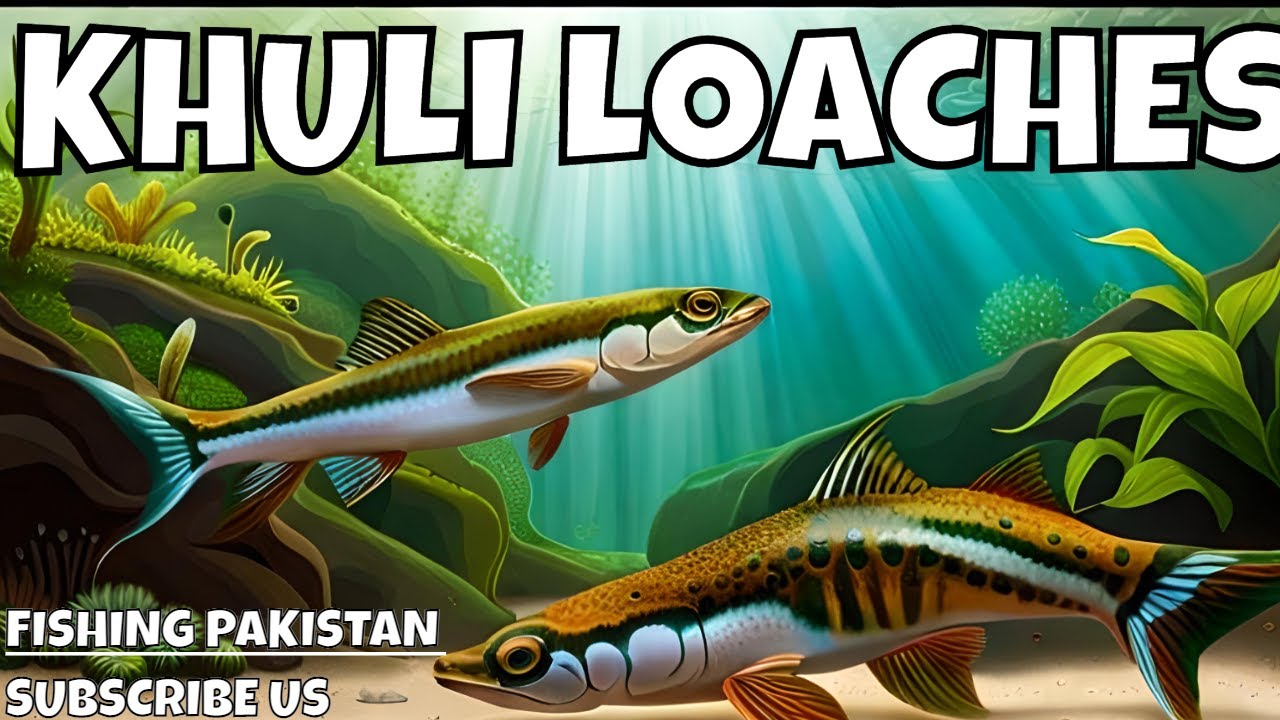 Exquisite Kuhli Loach Fishes Thriving in a Planted Aquarium - YouTube