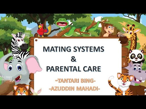 Mating Systems & Parental Care (BIO661) Animal Behaviour - YouTube