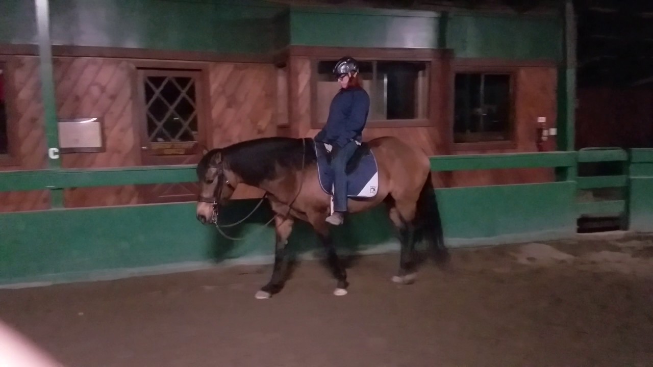 Essy Walk Back exercise after Atlas adjust - YouTube