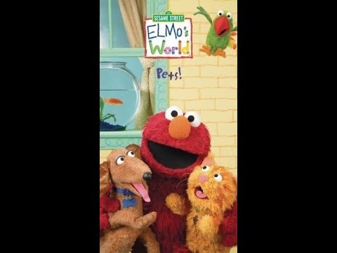 Elmo's World: Pets! - YouTube