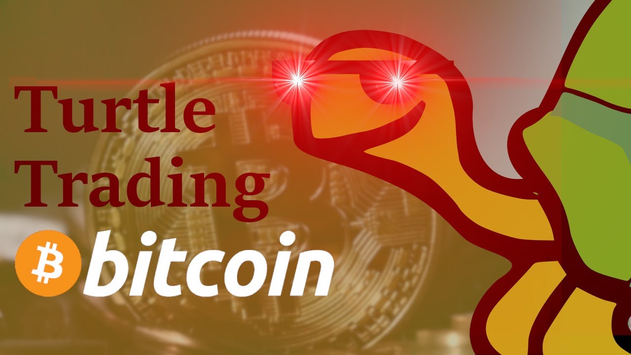 Applying Turtle Trading to Bitcoin - Intro - YouTube