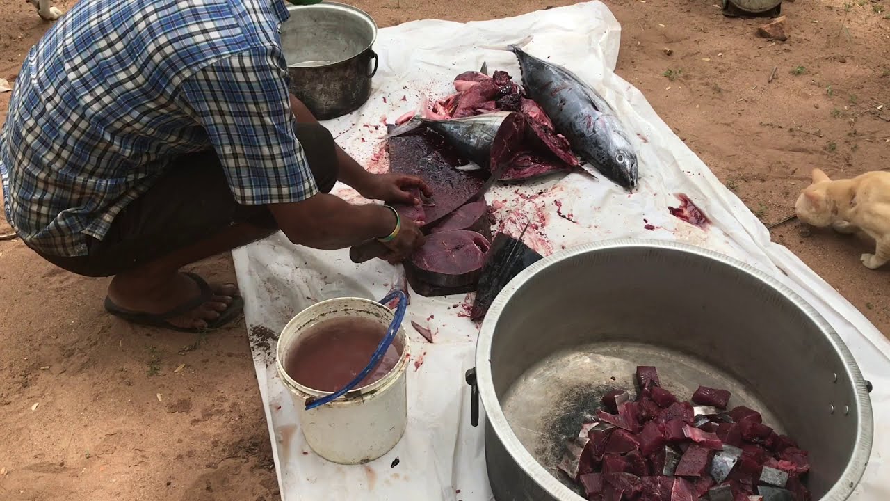 This video is my simple recipe on how to cook fish head Fish Egg & Fish ...