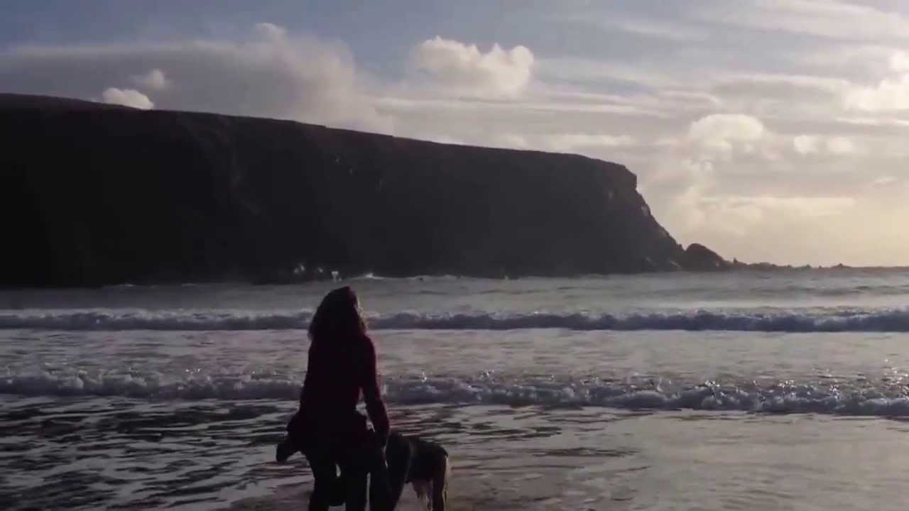 Irish Sea creature caught on camera - YouTube