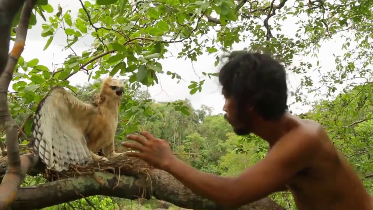 Primitive technology - YouTube