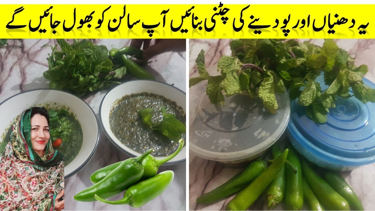 Chatni Recipe | Mint Sauce | 2 Best Chatni Recipe | دیسی چٹنیاں ||By ...