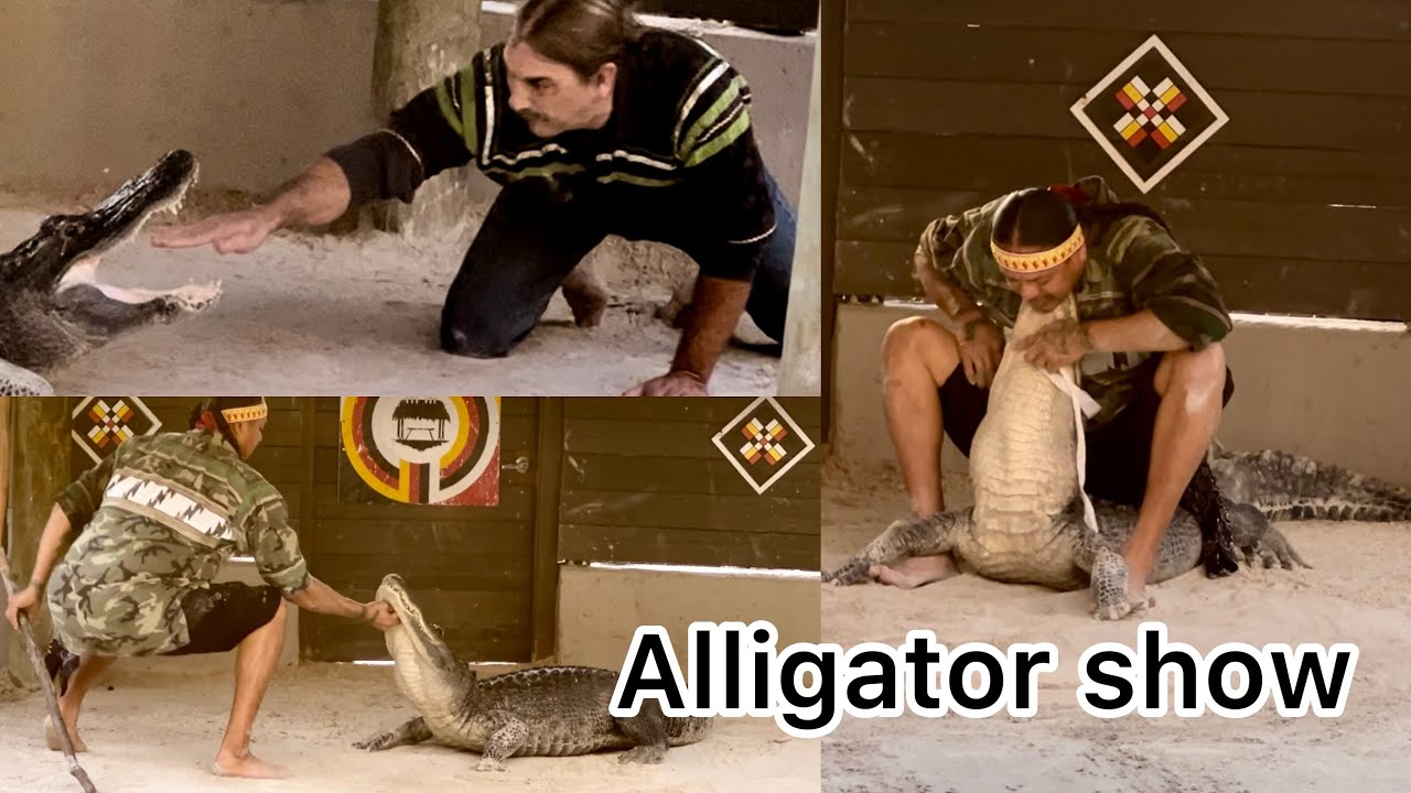 Alligator show | Native American old style - YouTube
