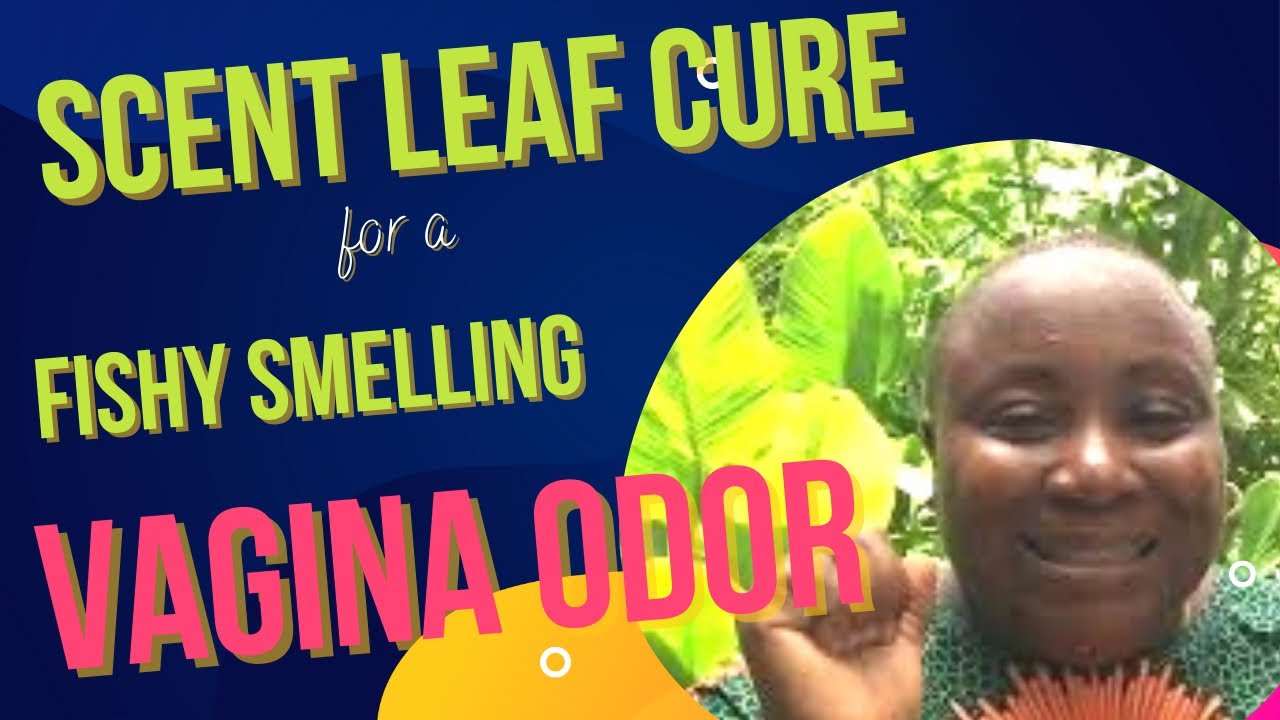 Cure For A Smelly Fishy Vaginal Odor| Get Rid Of Vaginal Odor With ...