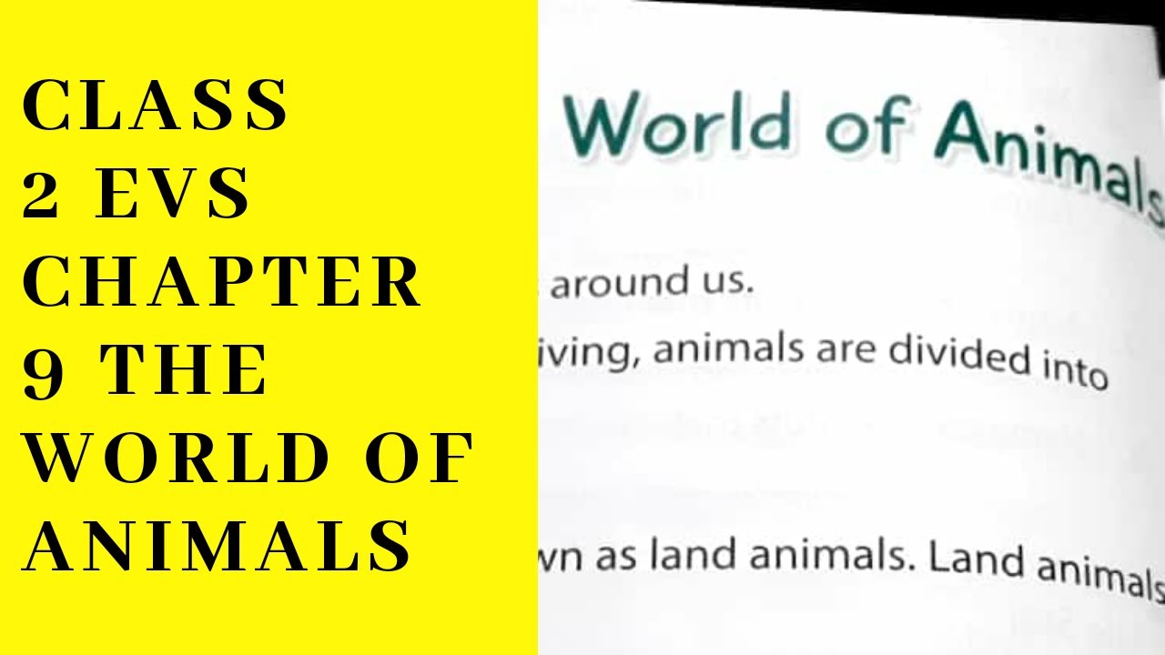 Class 2 chapter 9 The World Of Animals - YouTube