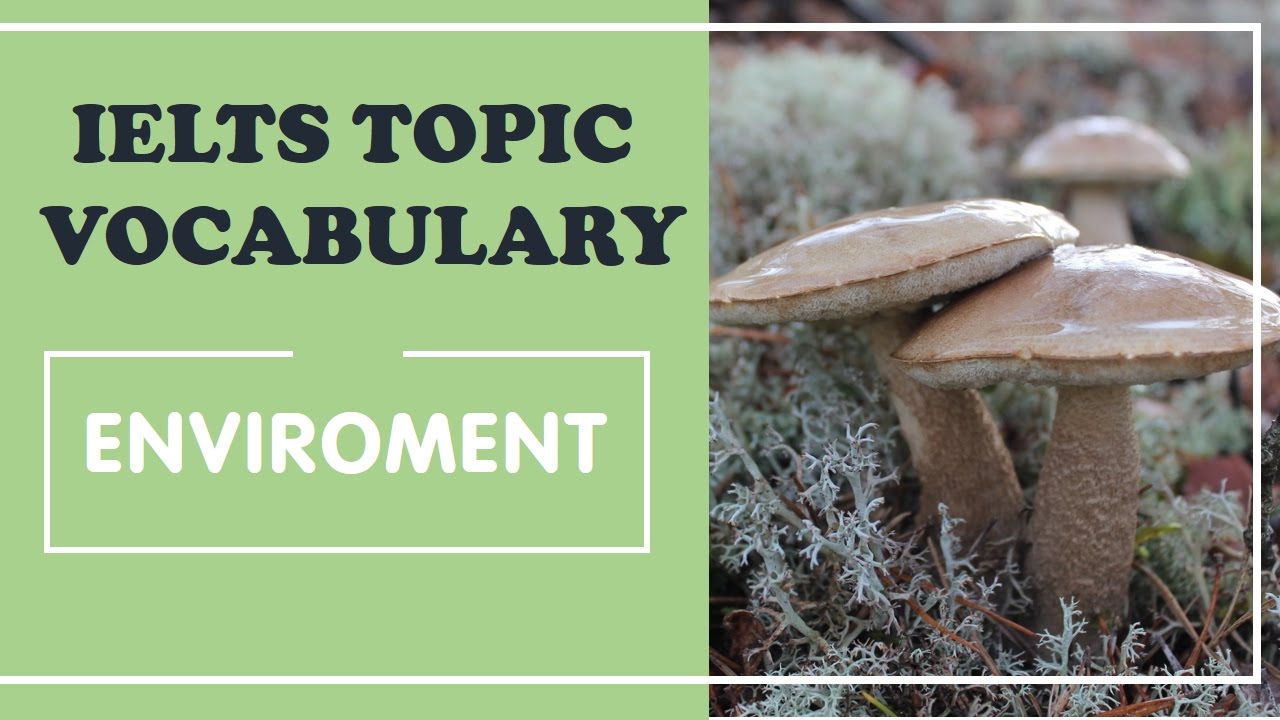 IELTS Vocabulary band 8 : Environment - YouTube