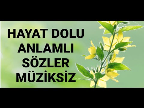 hayat dolu anlamlı sözler müziksiz