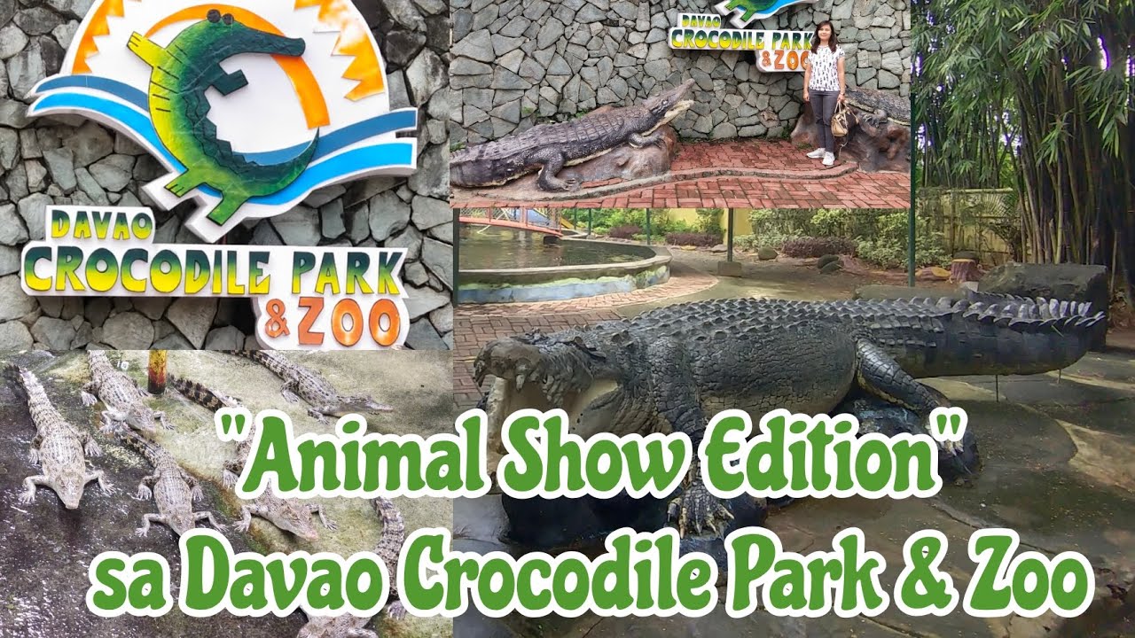 Animal Show Edition| Davao Crocodile Park & Zoo| Sobra ganda dito😲 ...