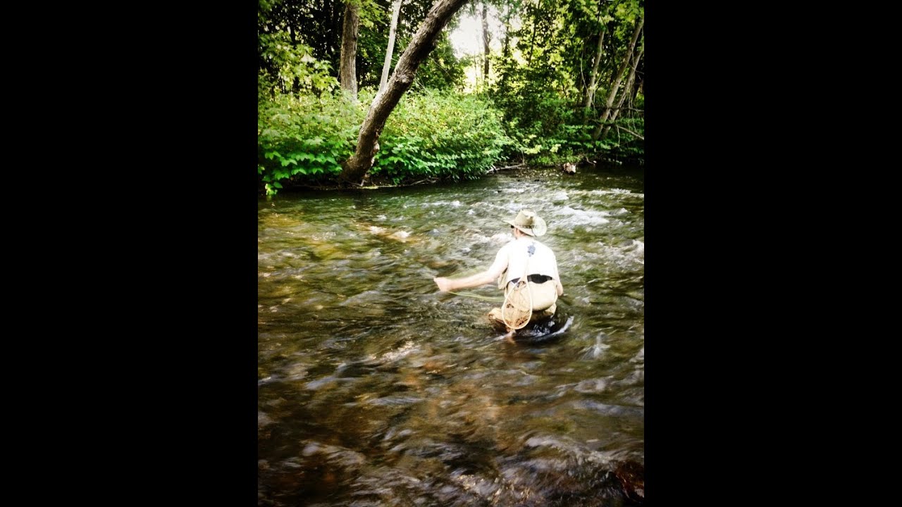 Fly Fishing Small Stream Wild Brown Trout with Jim Misiura - YouTube