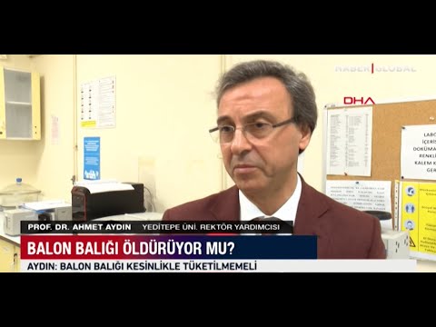 Balon Balığı Yenilir mi? /Prof.Dr Ahmet Aydın